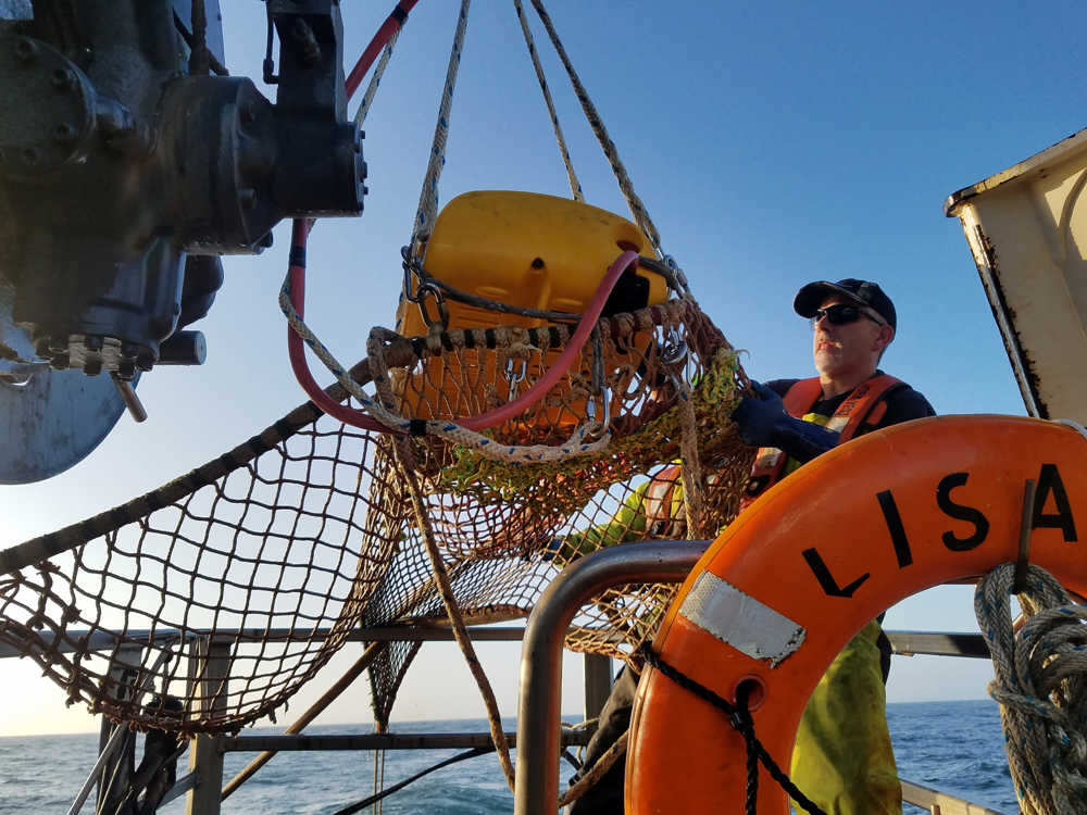 Underwater cameras are shedding a light on the issue of salmon bycatch ...