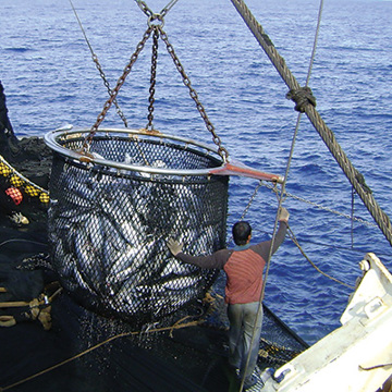 Simrad fish-finding sonars - Kongsberg Discovery